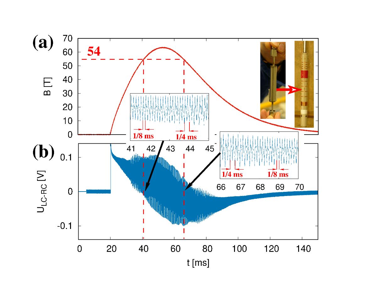 LIQUID-RUBIDIUM ALFVÉN-WAVE EXPERIMENT IN PULSED MAGNETIC FIELDS - EMFL