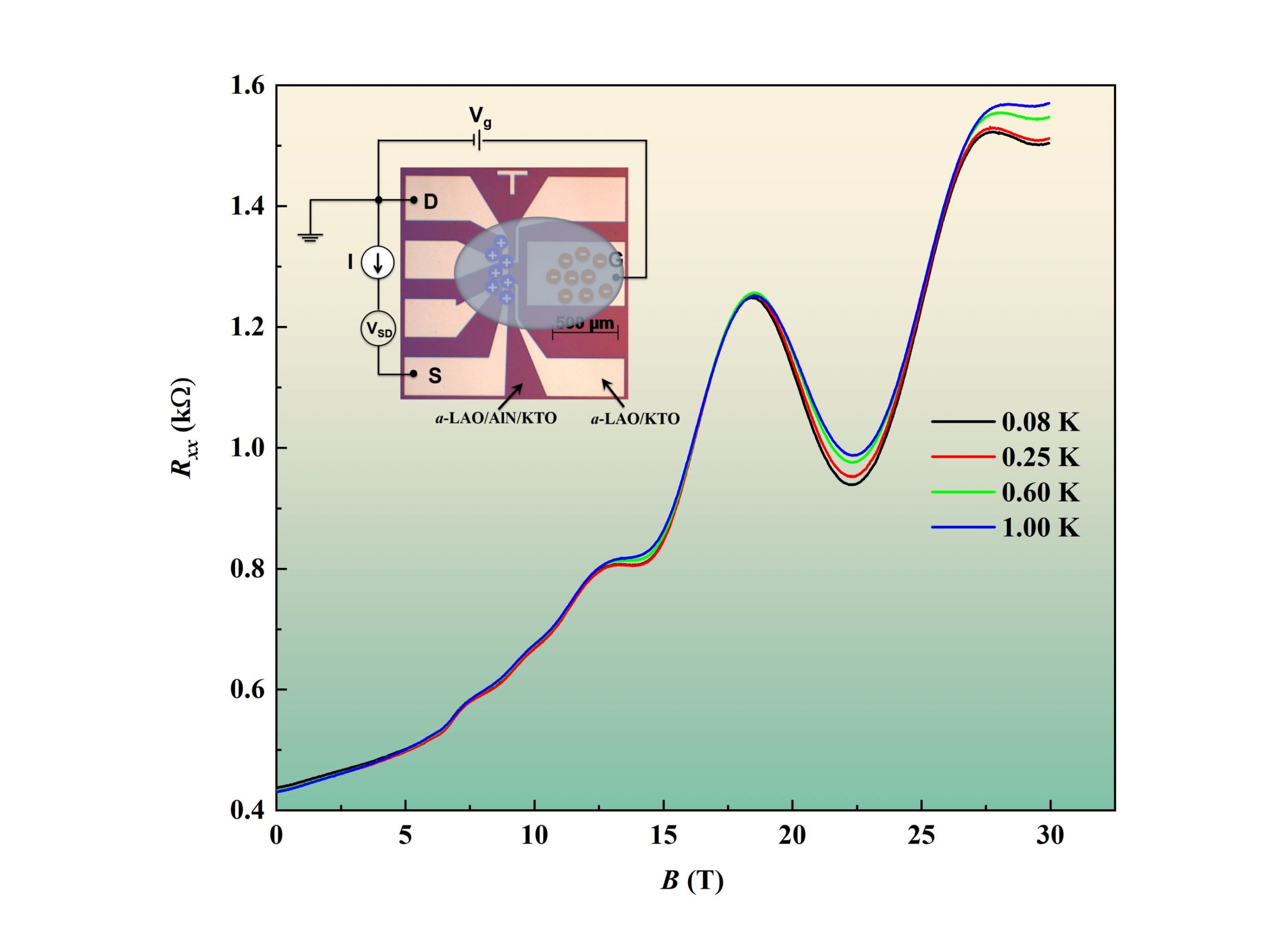 QUANTUM OSCILLATIONS IN A 5d-OXIDE INTERFACE - EMFL