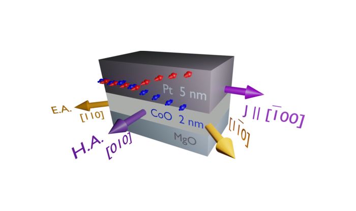 MAGNETIC-FIELD-DEPENDENT ANISOT ROPY IN THE ANTIFERROMAGNETIC STRUCTURE ...